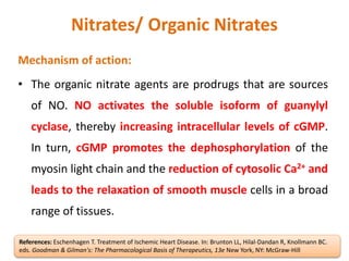 Antianginal Drugs | PPTX