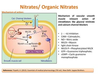Antianginal Drugs | PPTX