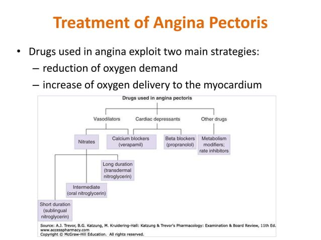 Antianginal Drugs | PPTX