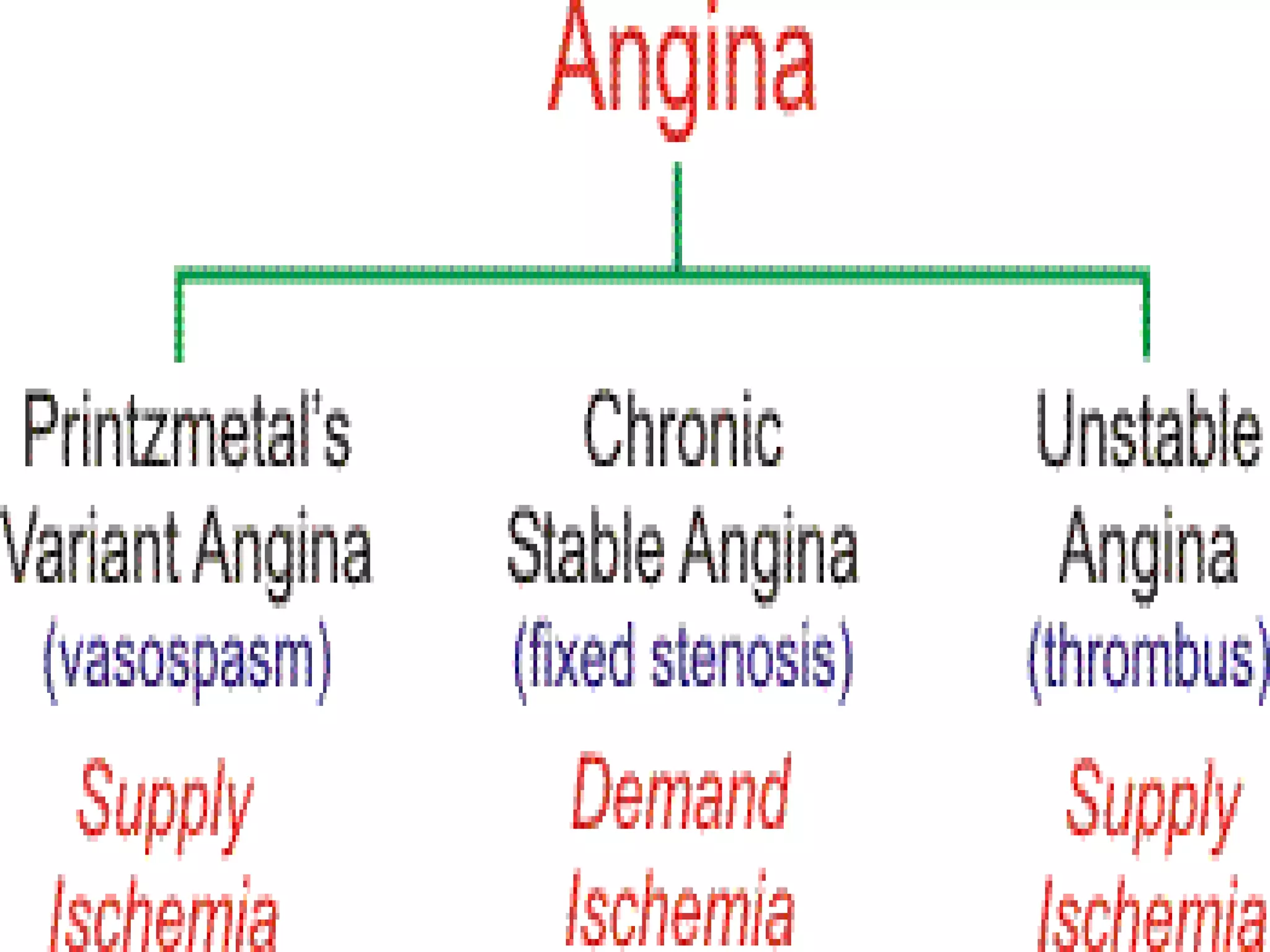 Antianginal drug | PPTX