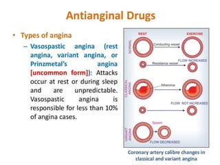 antianginal drug.pptx