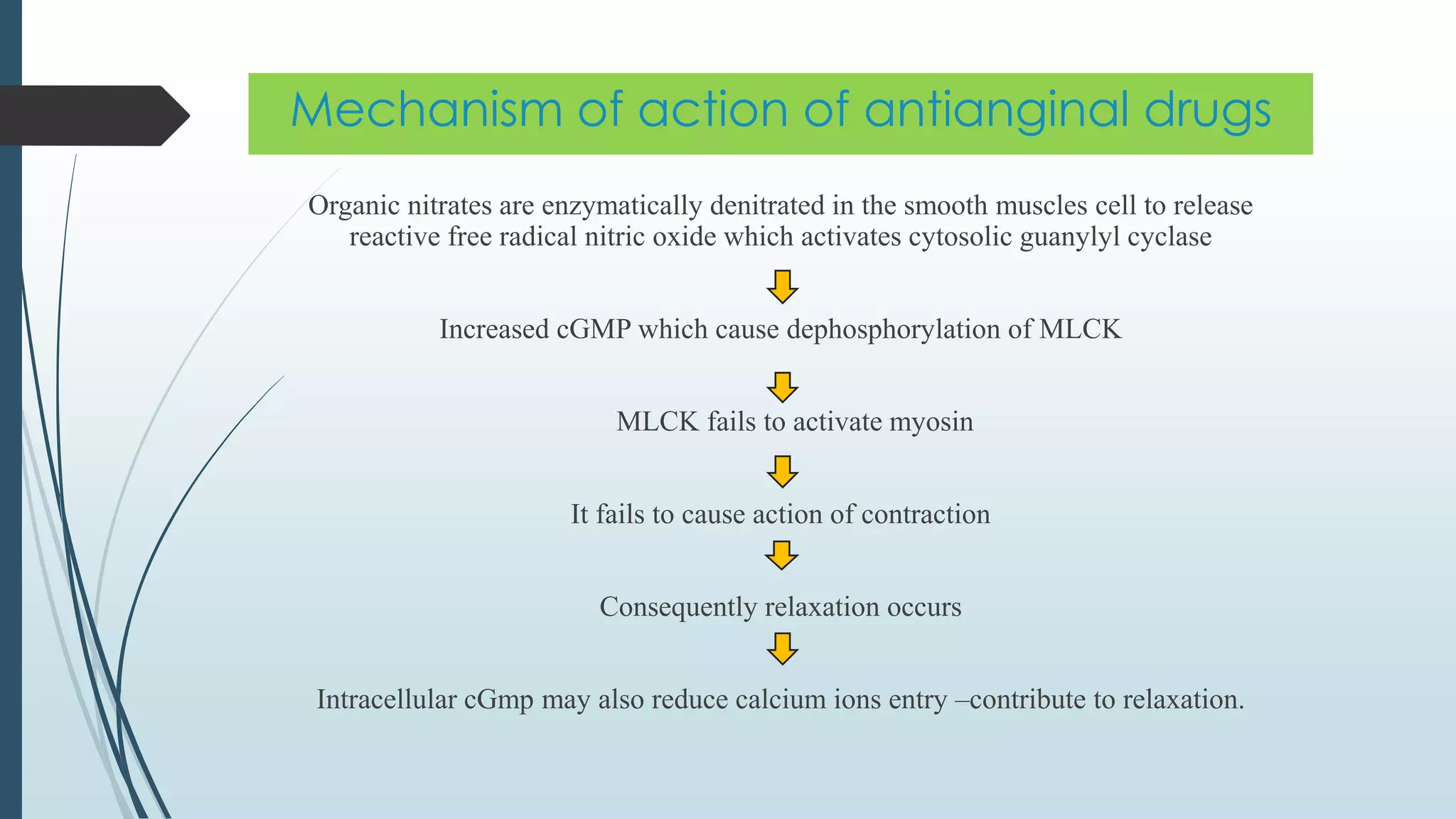 Antianginal drugs | PDF | Heart and Cardiovascular Diseases | Diseases ...