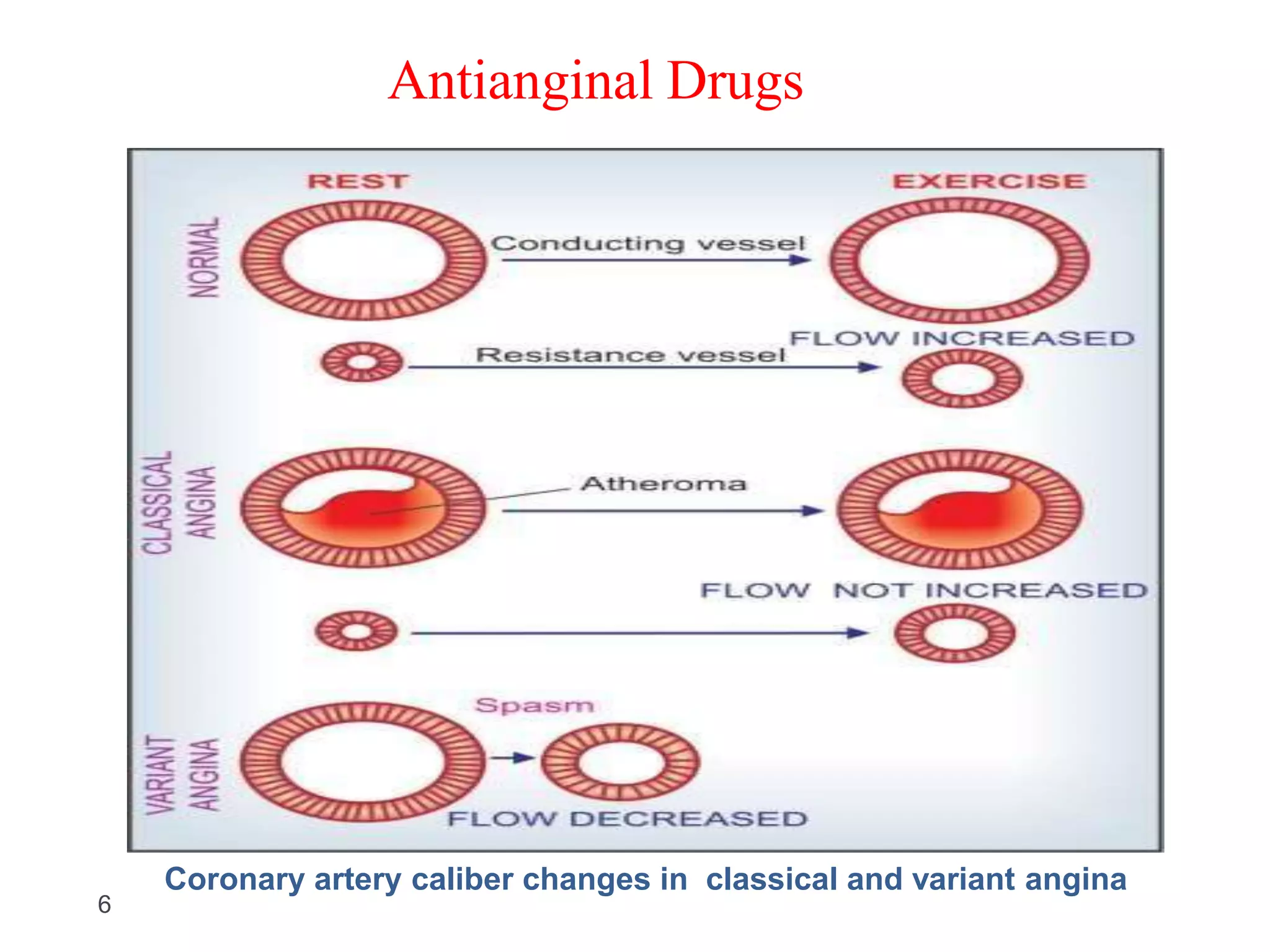 Antianginal drugs | PPT