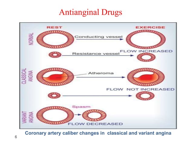 Antianginal drugs | PPT | Heart and Cardiovascular Diseases | Diseases ...