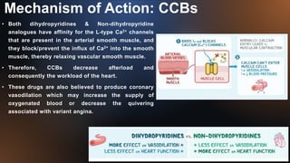 Antianginal drugs | PPTX