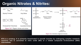 Antianginal drugs | PPTX