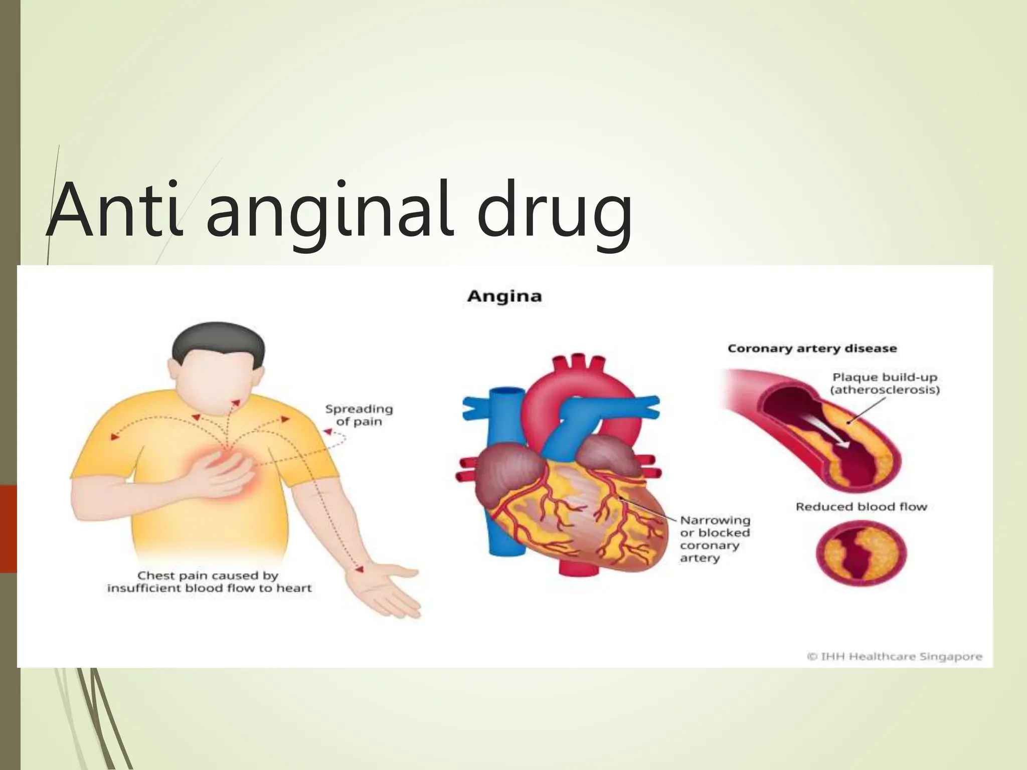 anti anginal drugs and side affect and Symptoms | PPT