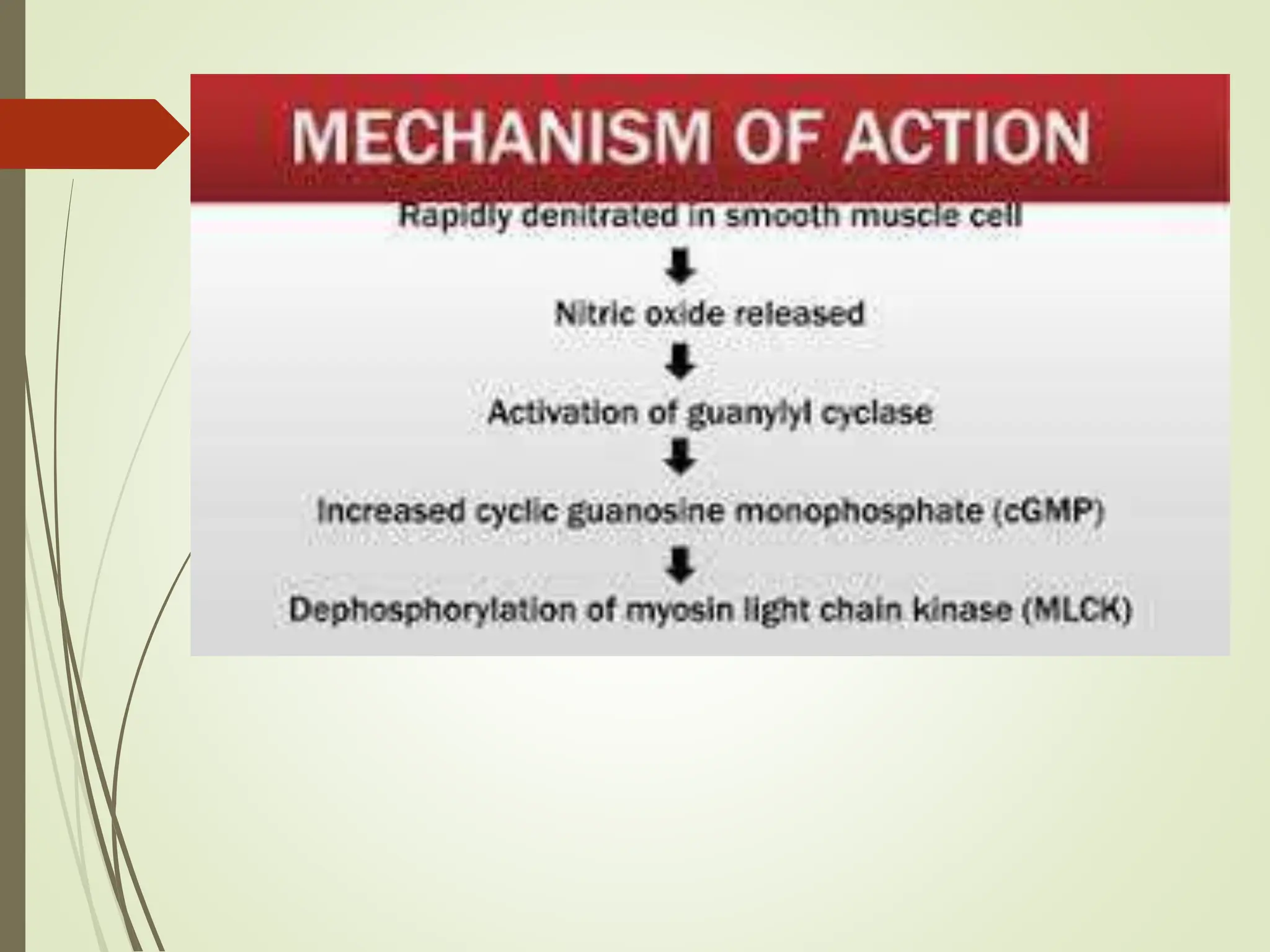 anti anginal drugs and side affect and Symptoms | PPT