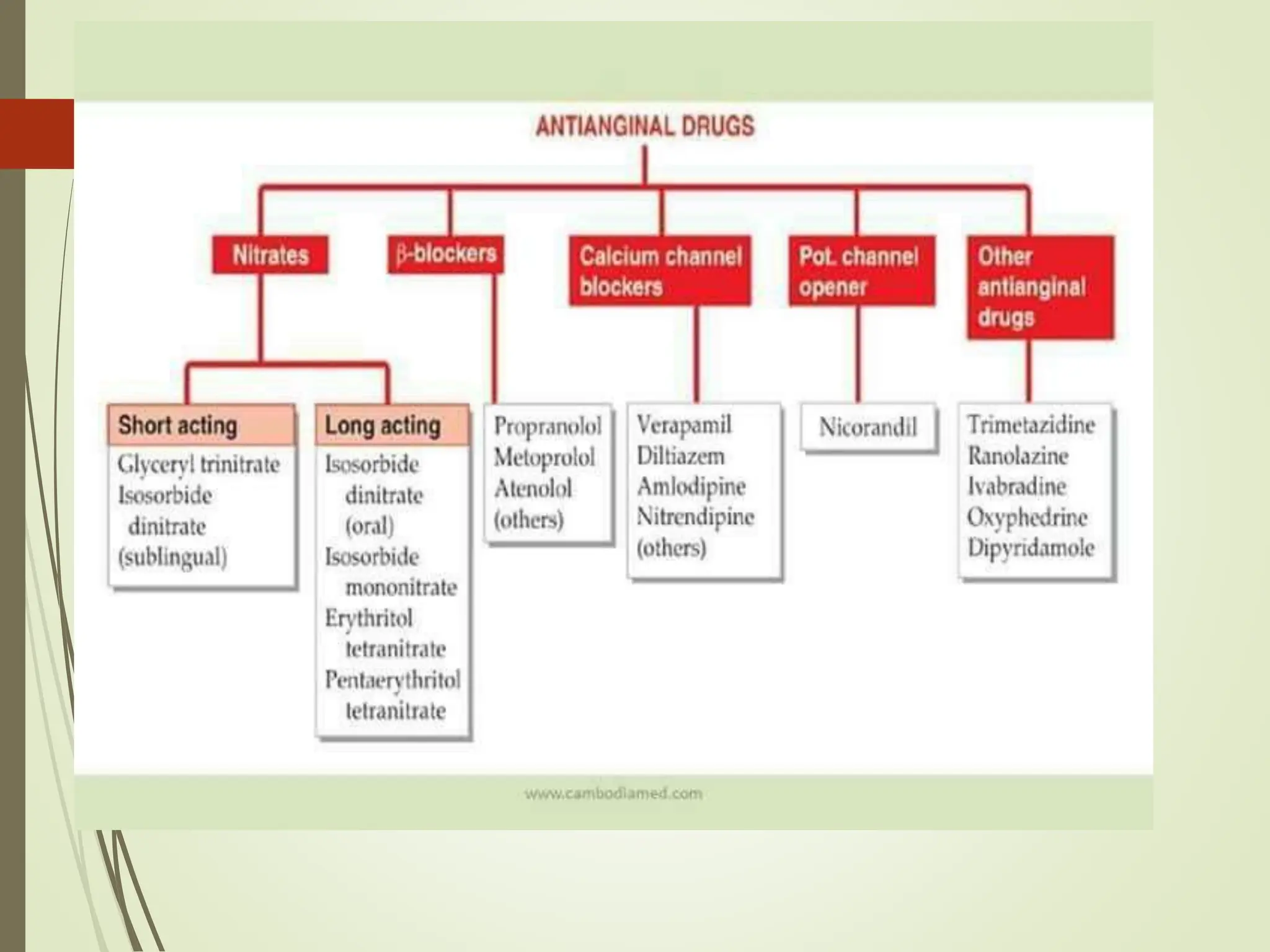 anti anginal drugs and side affect and Symptoms | PPT