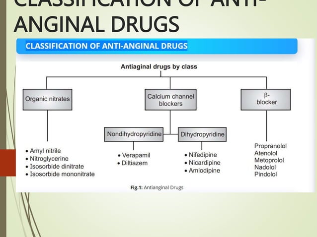 anti anginal drugs and side affect and Symptoms | PPT