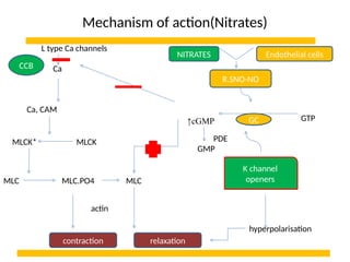 Antianginal Drugs/ Treatment of Myocardial Infraction | PPTX