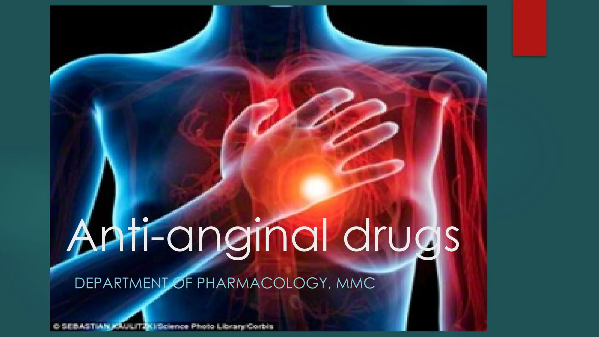 Pharmacology: Drugs used in Angina pectoris | PPTX