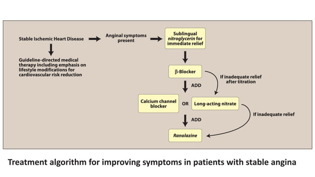 Pharmacology - Treatment used in angina.pdf