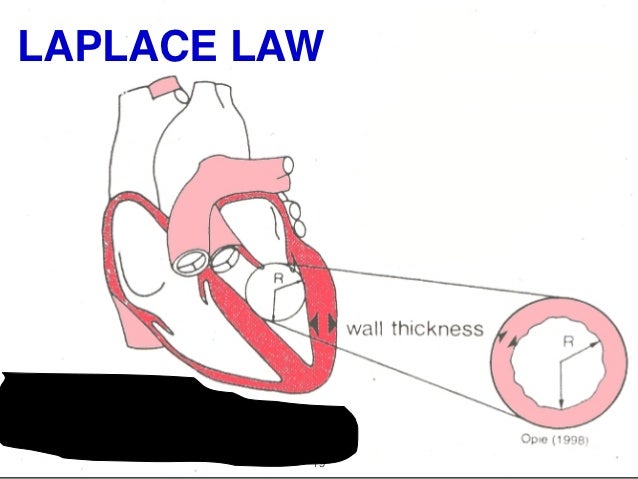 Anti anginal drugs & heart failure drugs