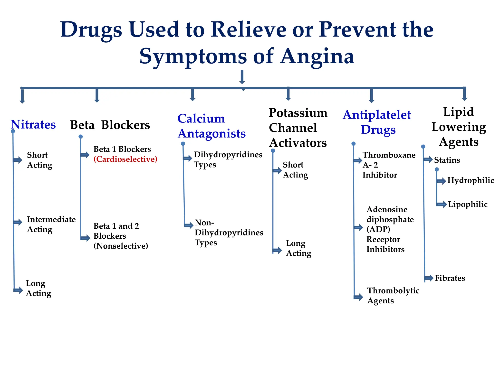 Angina Pectoris and Antianginal Drugs_Kamal.pptx