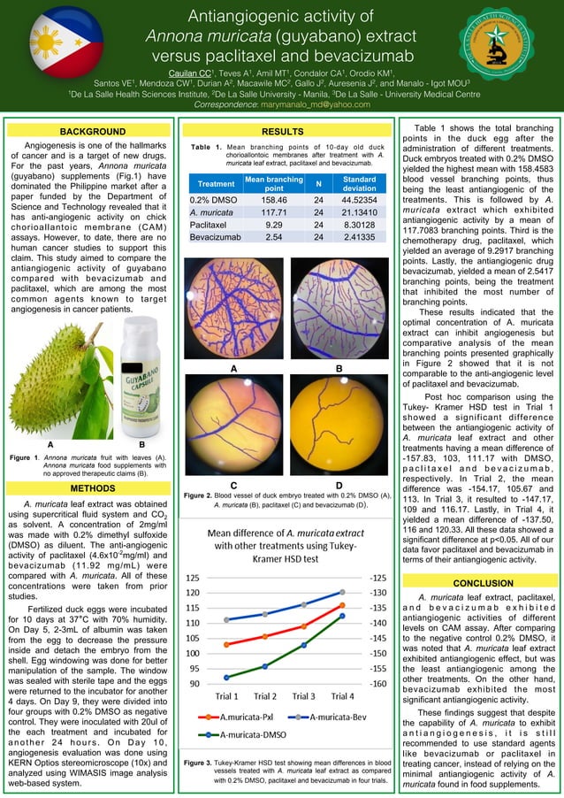 Anti angiogenic activity of Annona muricata (guyabano) versus ...