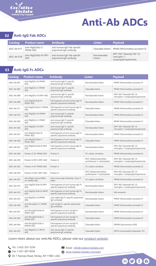 Anti antibody adcs | PDF
