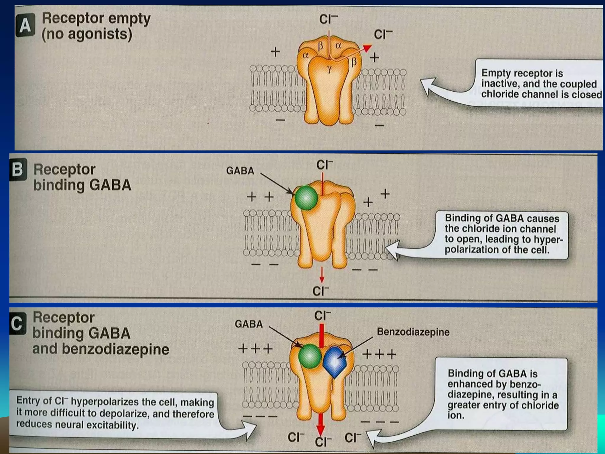 Antianxietydrugs 160402025443 | PPTX