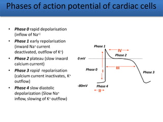 antiarrhythmic drug - by AHS Gowtham sap | PPTX