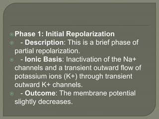 Drugs Used in the Treatment of Arrhythmia | PPTX