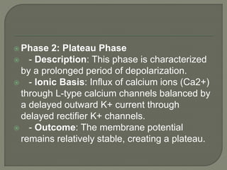 Drugs Used in the Treatment of Arrhythmia | PPTX