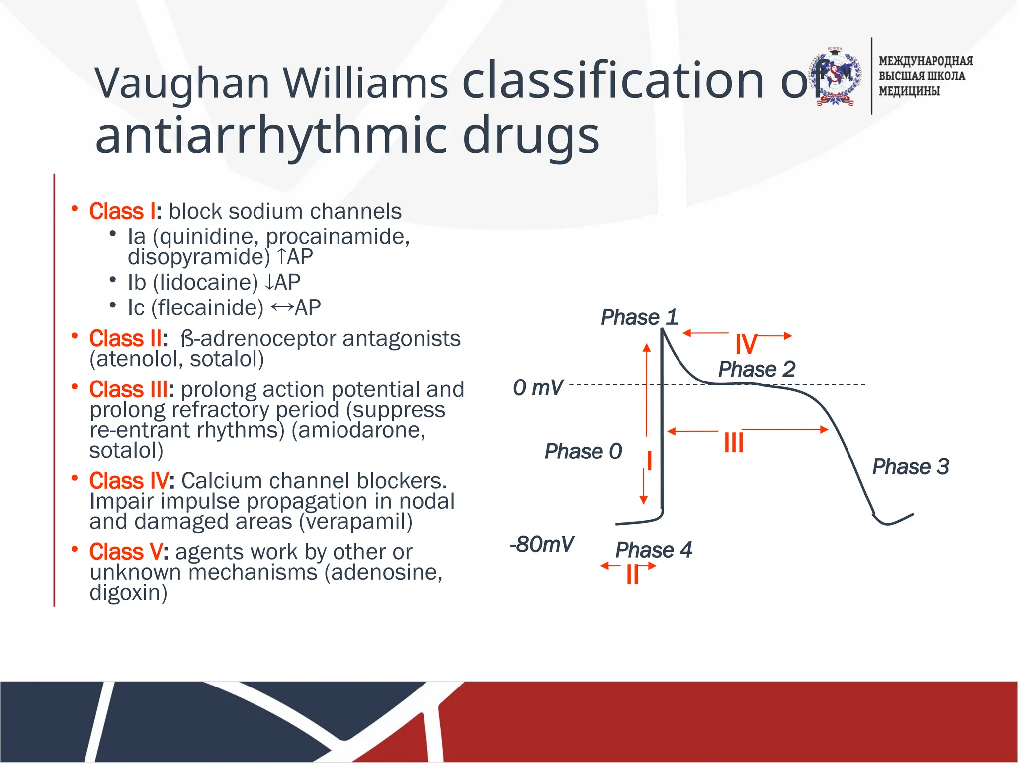 Antiarrhythmic drugs.ppt which explains it very well | PPT