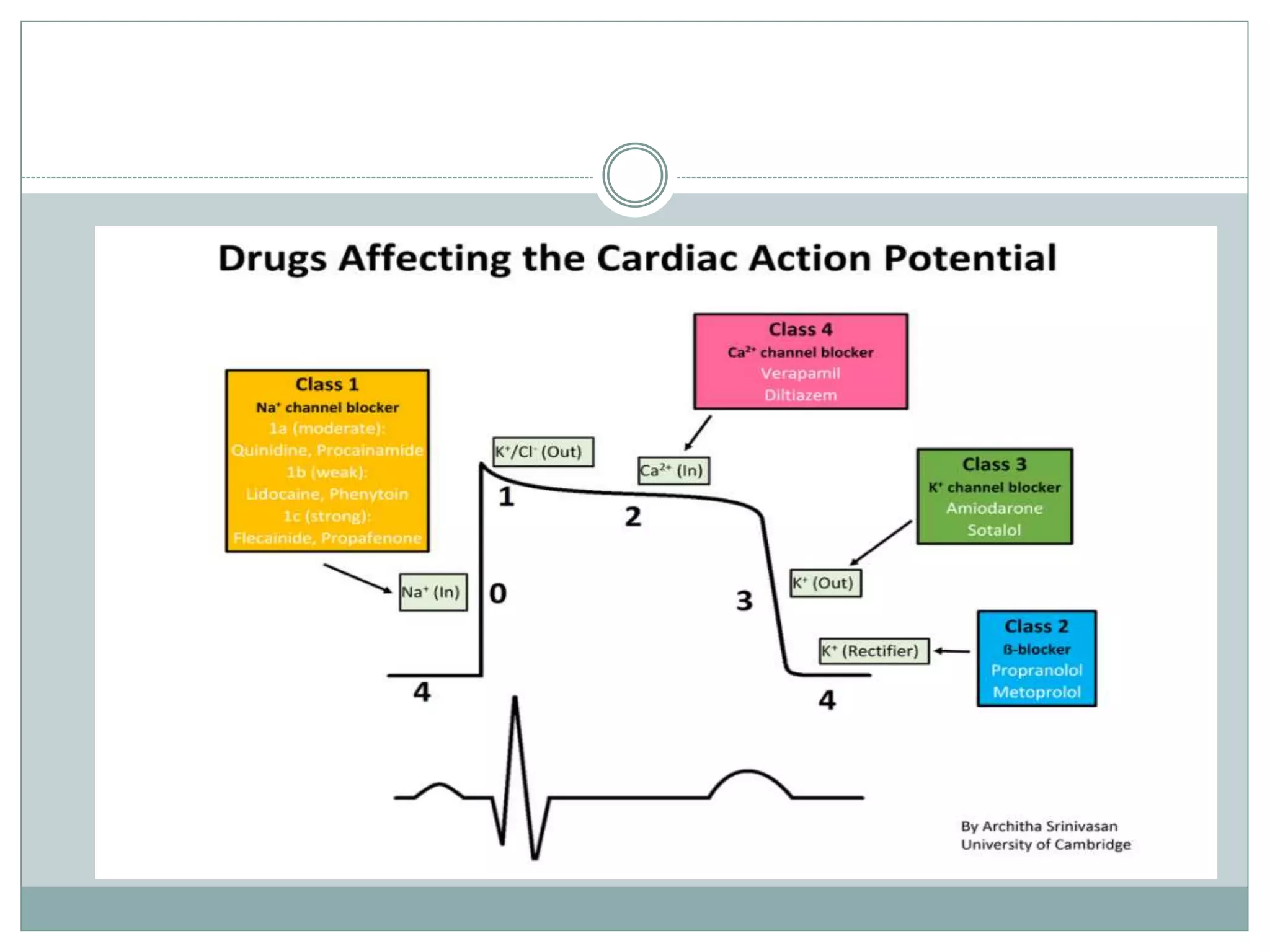 Antiarrhythmic drugs 01 | PPT