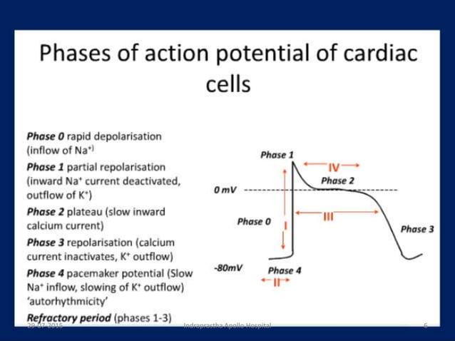 Antiarrhythmic drugs & Anaesthesia for Cardioversion | PPTX