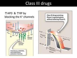 Antiarrhythmic drugs bds | PPTX
