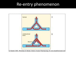 Antiarrhythmic drugs bds | PPTX