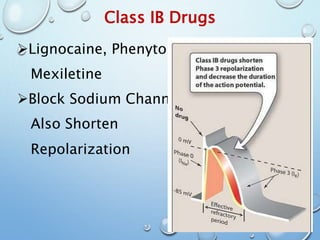 Antiarrhythmic drugs seminar | PPTX