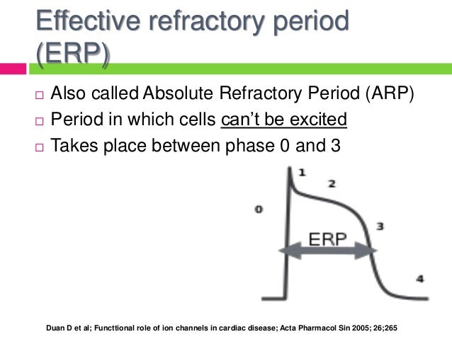 Absolute Refractory Period Vs Effective