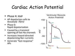 Antiarrhythmics modified | PPT