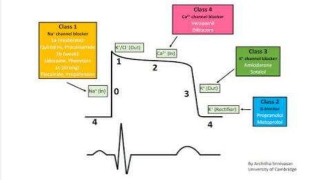 Pharmacology of Antiarrhythmic drugs | PPTX