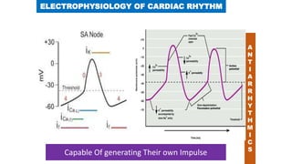 Antiarrythmic drugs part ii | PPTX