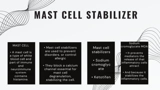 Anti Asthmatic Drugs PPT PreparedBy Abdussami Moulvi | PDF