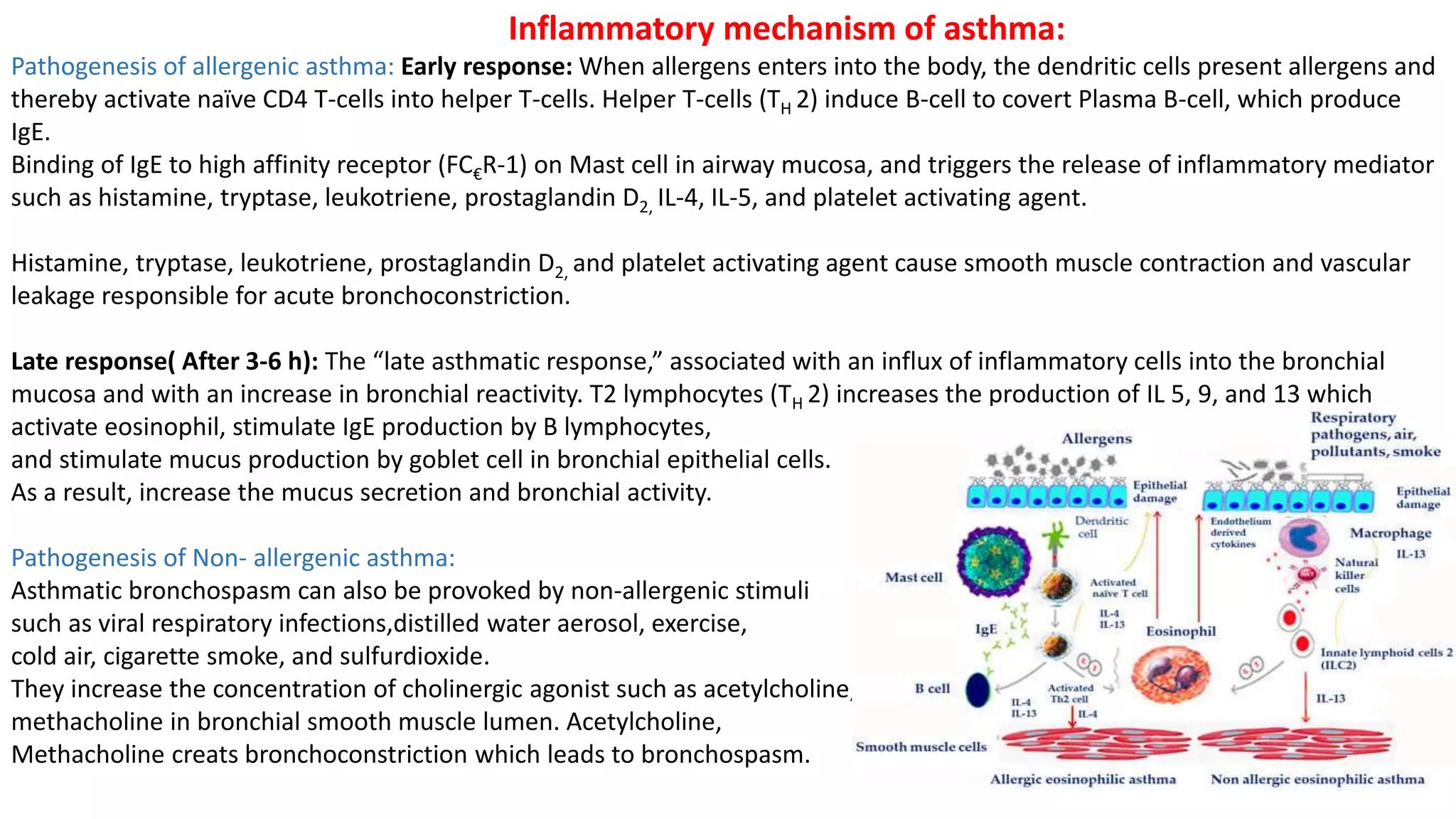 Anti asthmatic drug presentation | PPTX
