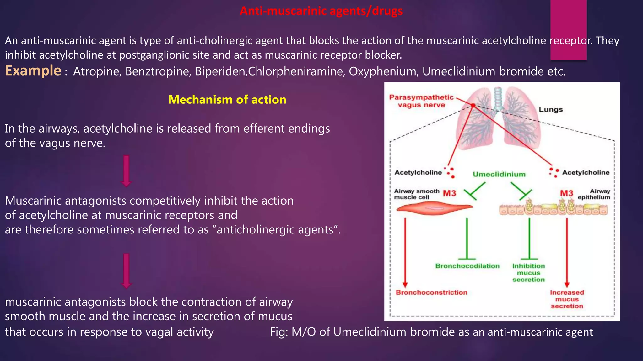 Anti asthmatic drug presentation | PPTX
