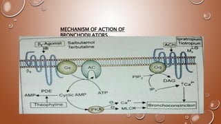 Anti Asthmatic drugs.pptx
