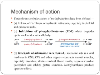 Pharmacology of Anti-asthmatic Drugs.pptx