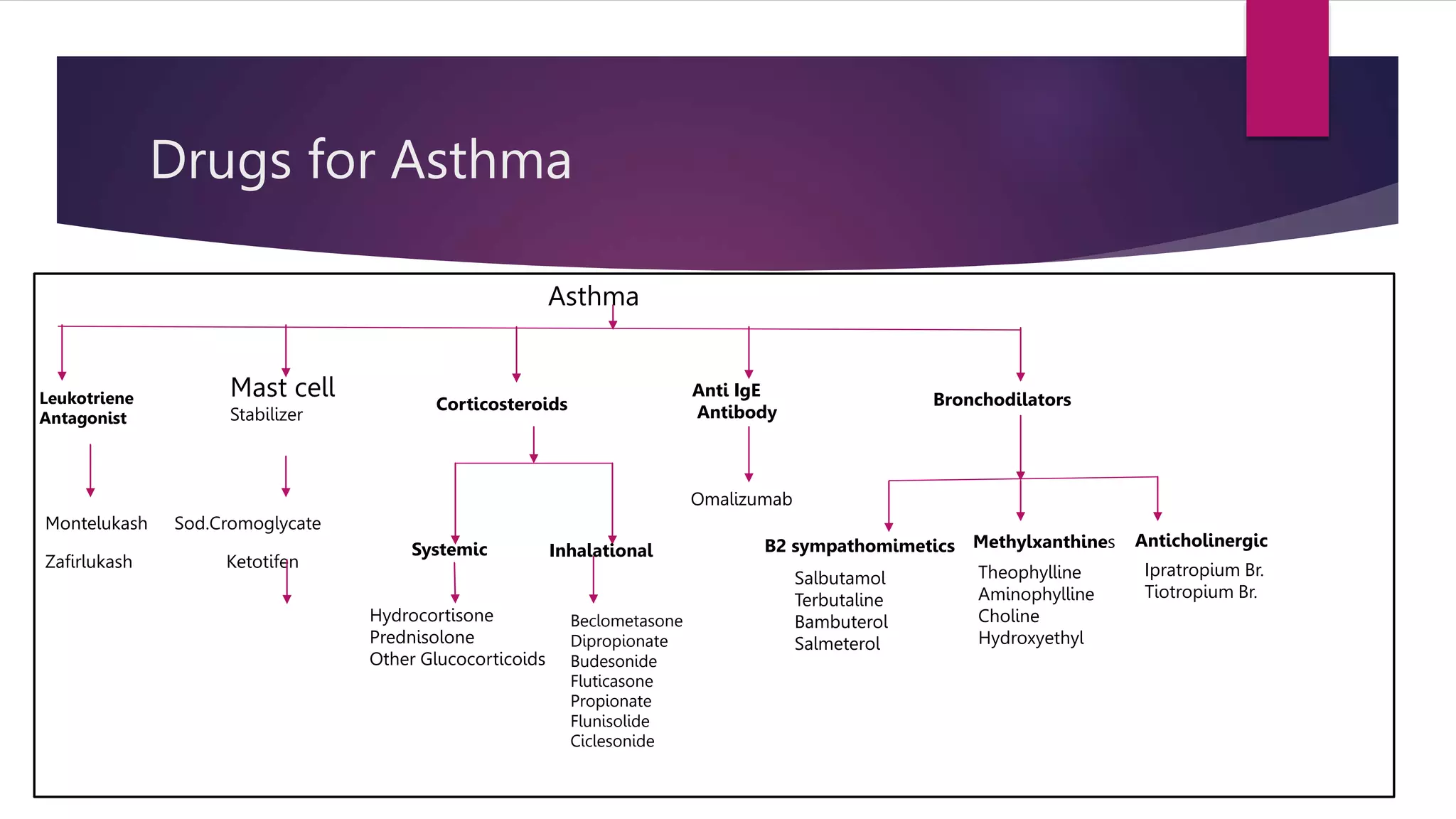 Anti Asthmatic Drugs (1) ananya .pptx