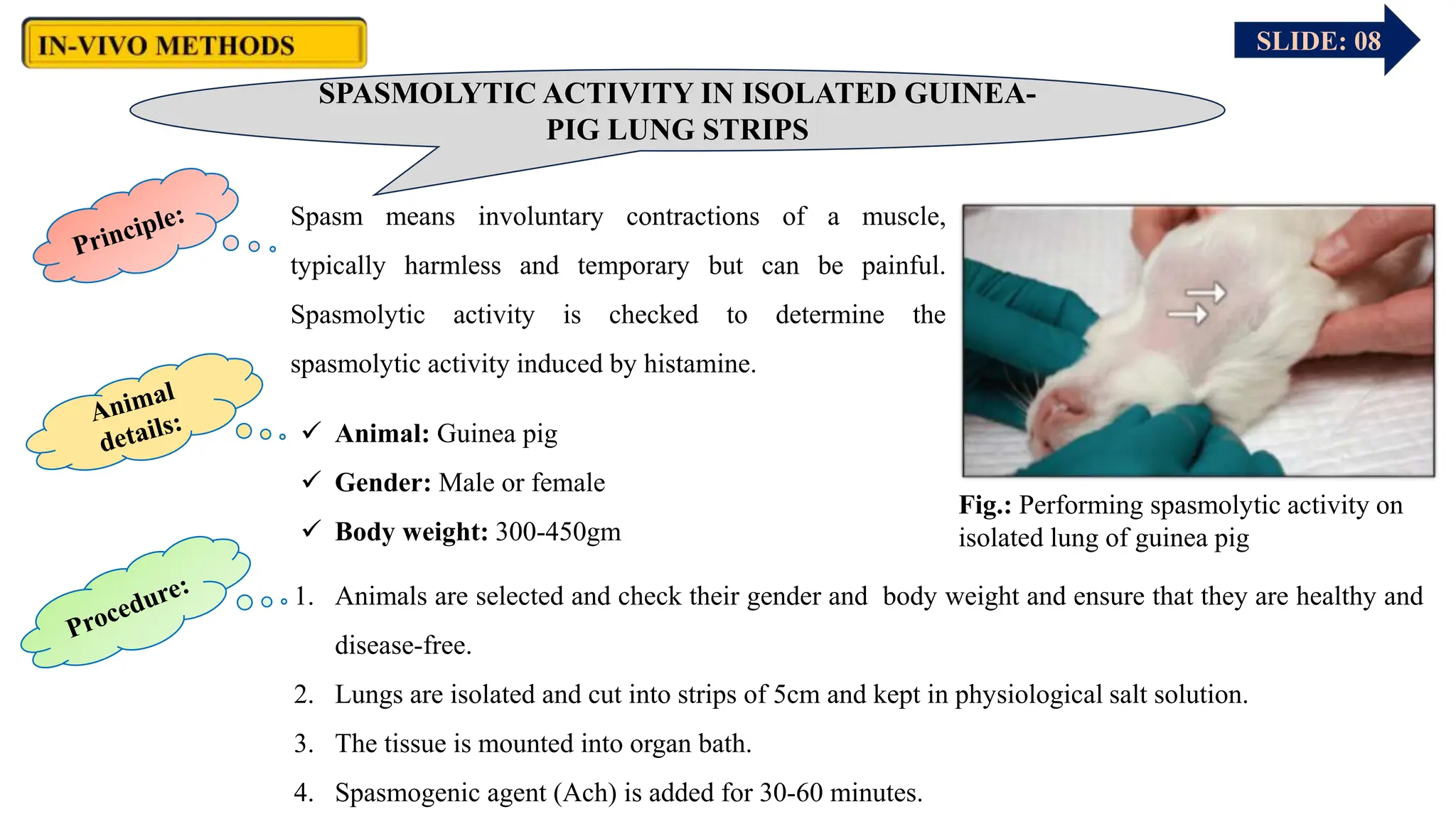 ANTI ASTHMATIC DRUG SCREENING MODEL.pptx
