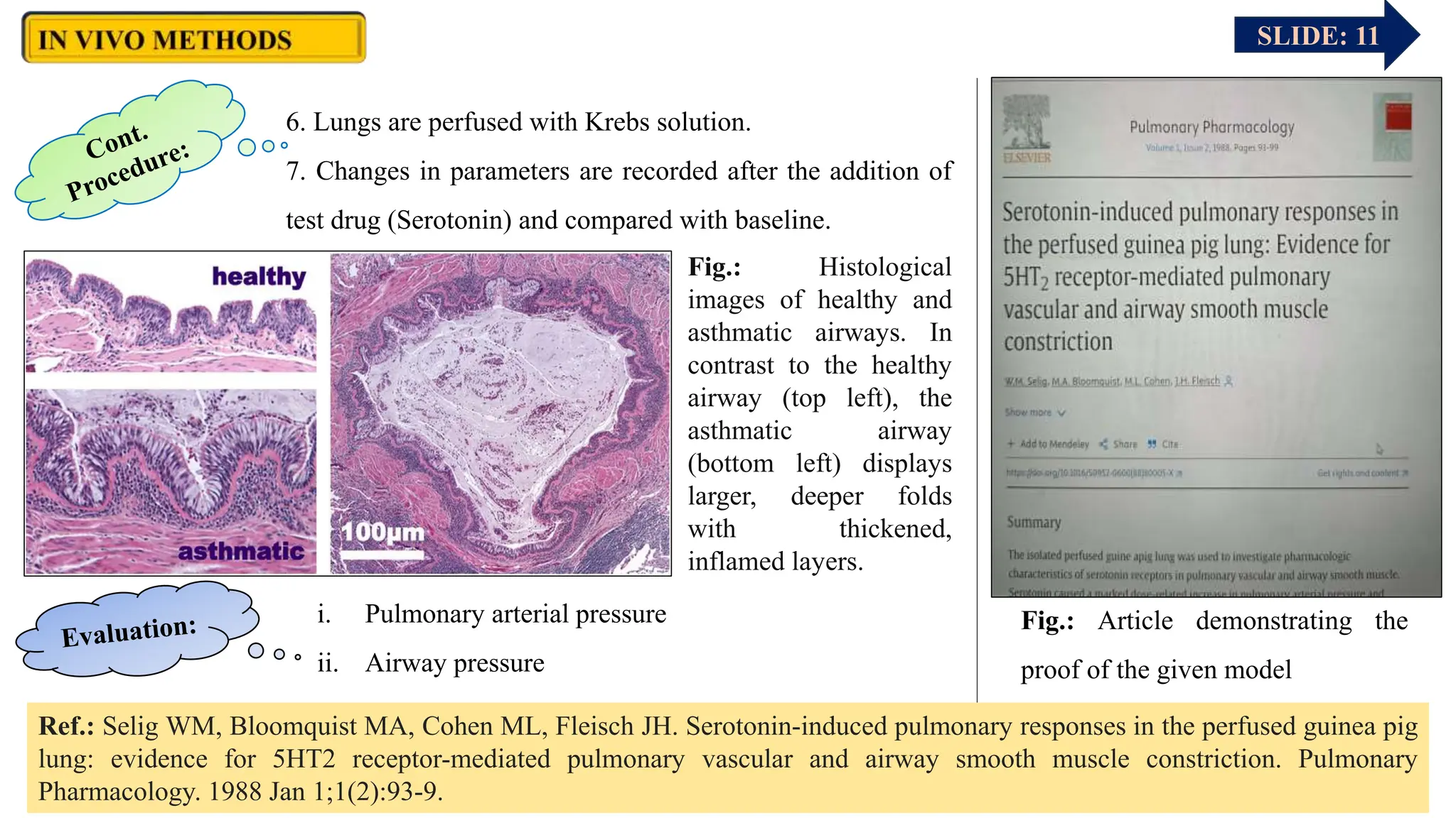 ANTI ASTHMATIC DRUG SCREENING MODEL.pptx