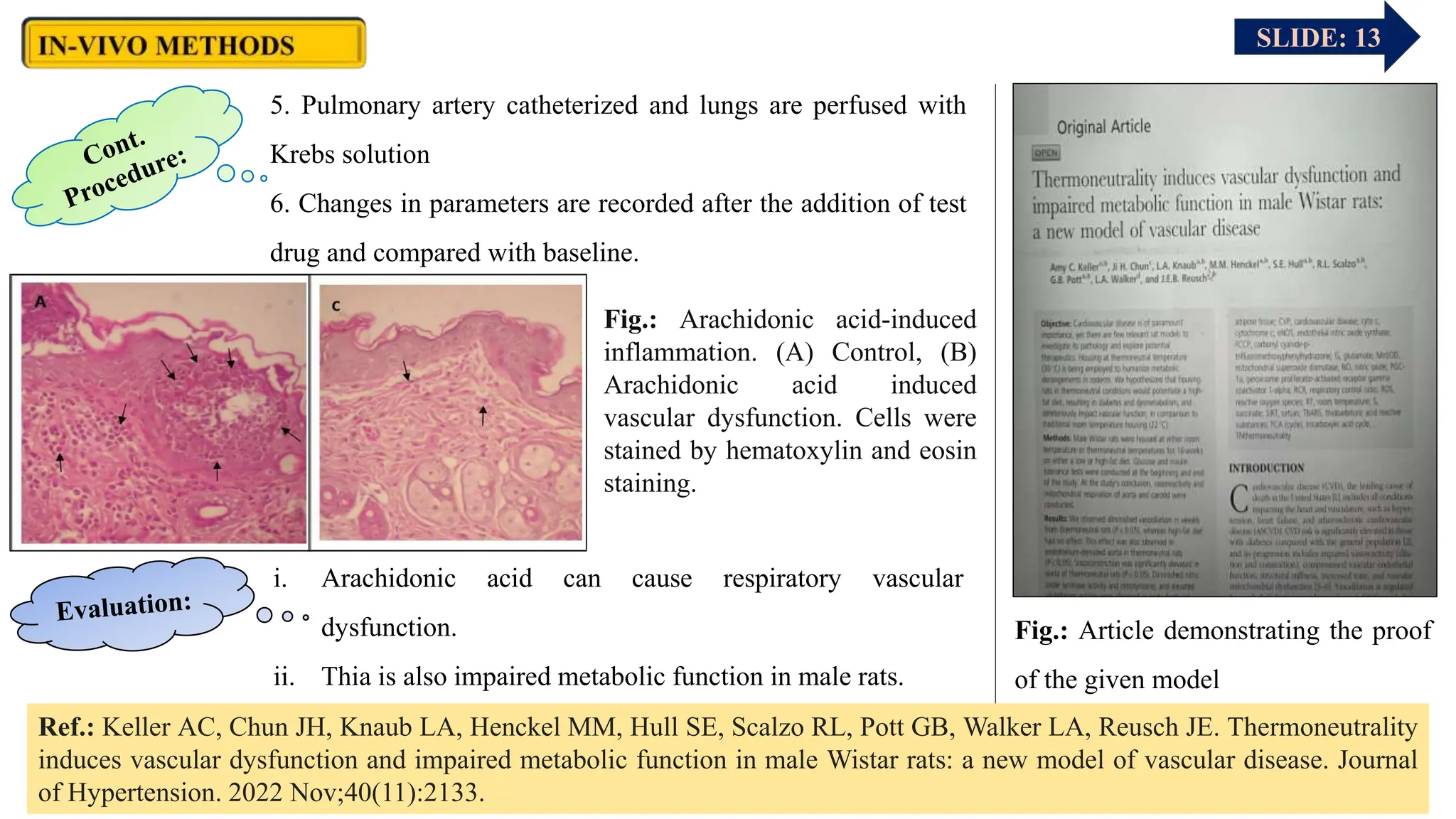 ANTI ASTHMATIC DRUG SCREENING MODEL.pptx