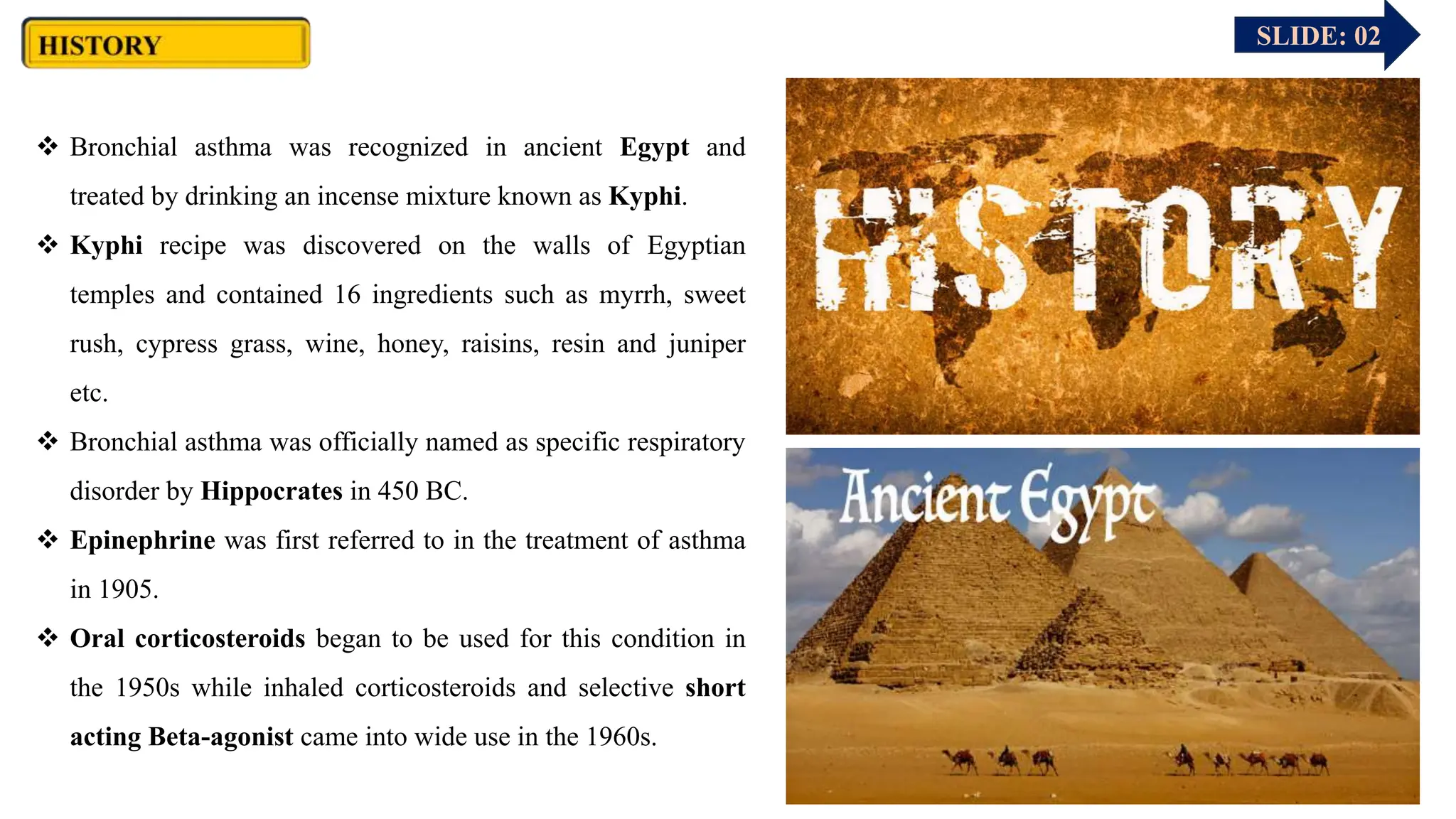 ANTI ASTHMATIC DRUG SCREENING MODEL.pptx