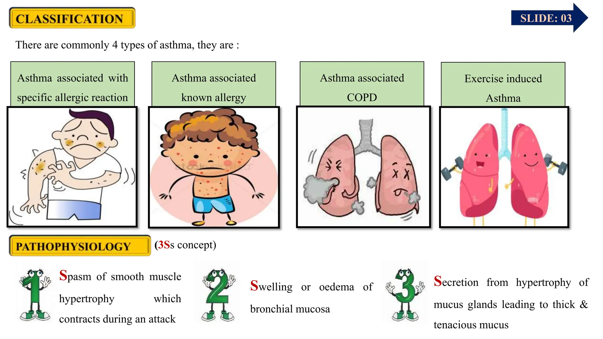 ANTI ASTHMATIC DRUG SCREENING MODEL.pptx
