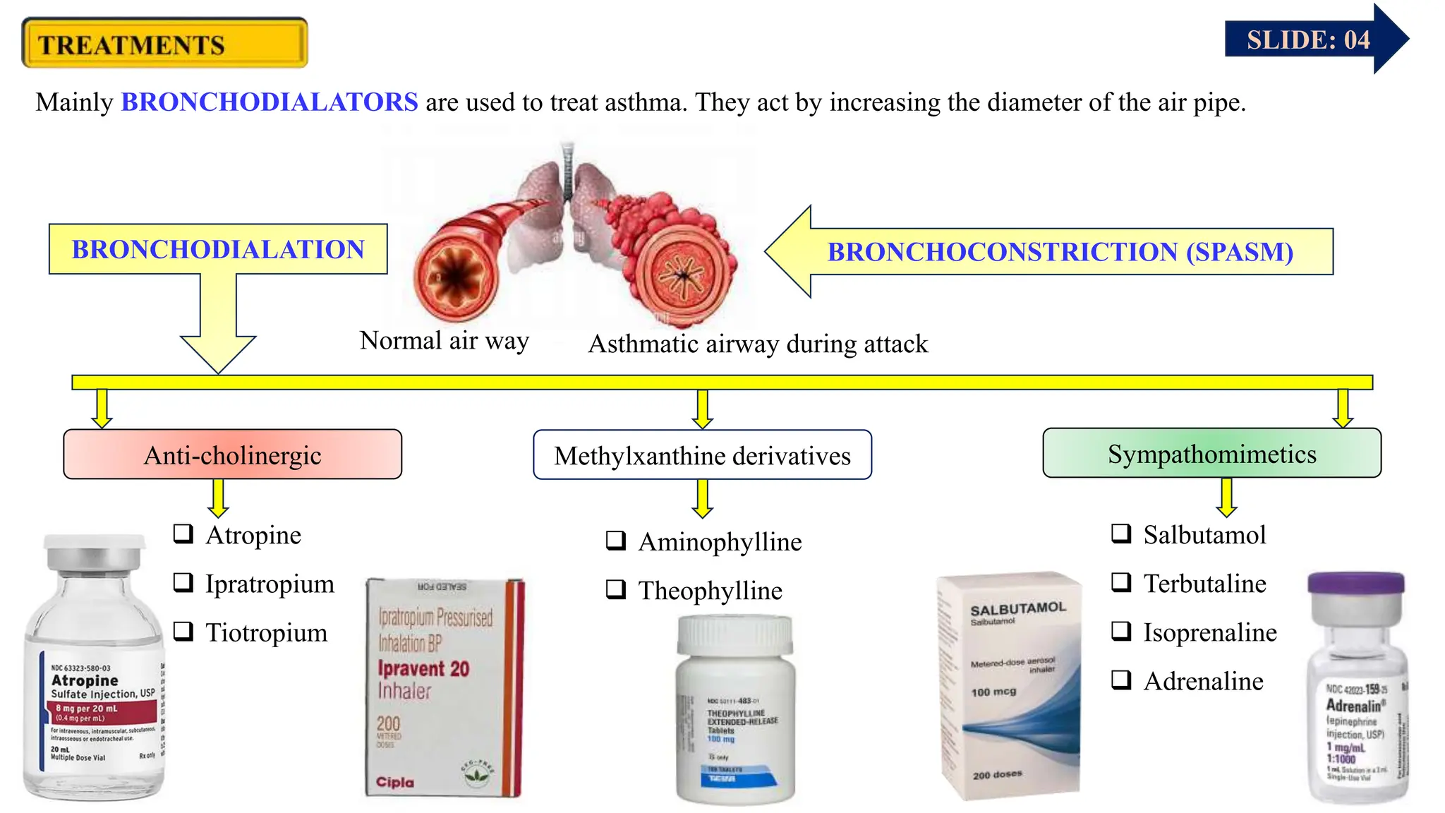 ANTI ASTHMATIC DRUG SCREENING MODEL.pptx