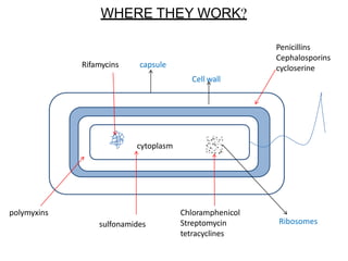 Bacterial and the important antibacterial.pptx