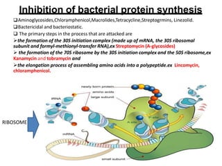 Bacterial and the important antibacterial.pptx