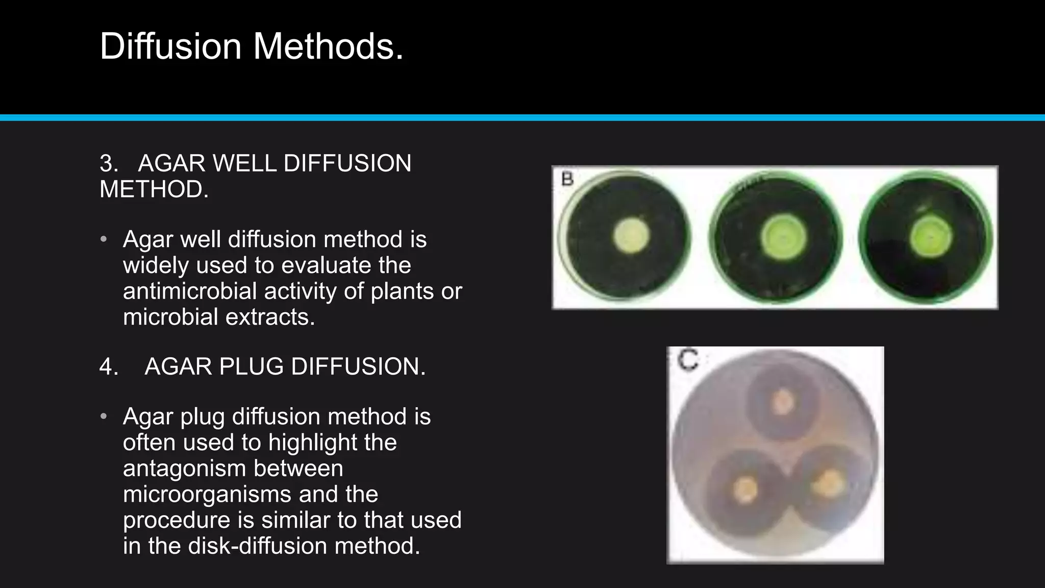 Antibacterial Assay.pptx
